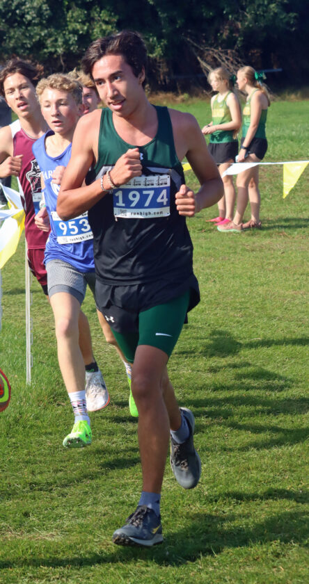 Lewisburg’s Hess wins District 4 cross country championship | News ...